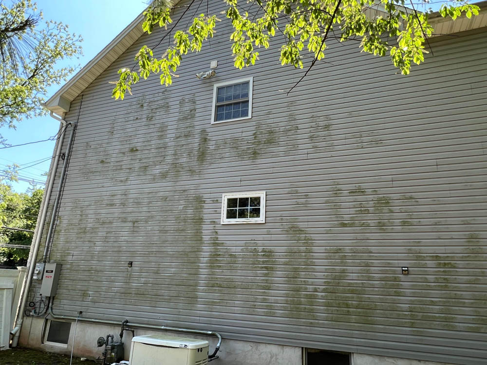 The Importance of Yearly Exterior House Washing in Florida